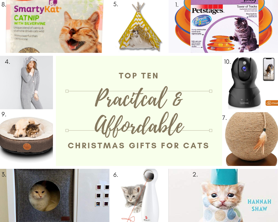 10 Practical, Affordable Christmas Gifts For Cats (And Cat Owners)